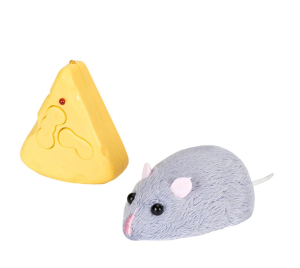 Remote Control Mouse – The Lazy Frog